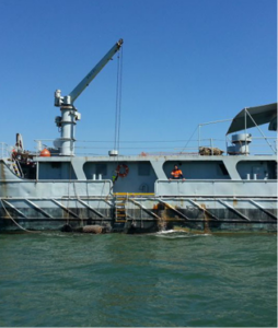 Ashmore Guardian - AST Oceanics